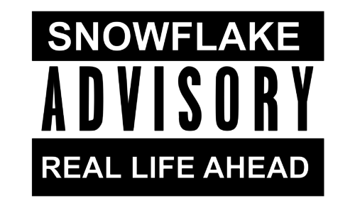 Snowflake advisory - Steve Tobak