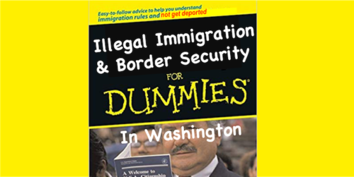 Illegal Immigration and Border Security for Dummies (in Washington ...